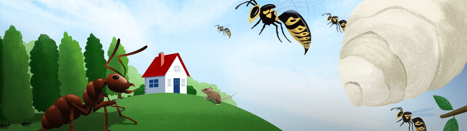 Rodent Control Massachusetts - Colonial Pest Control