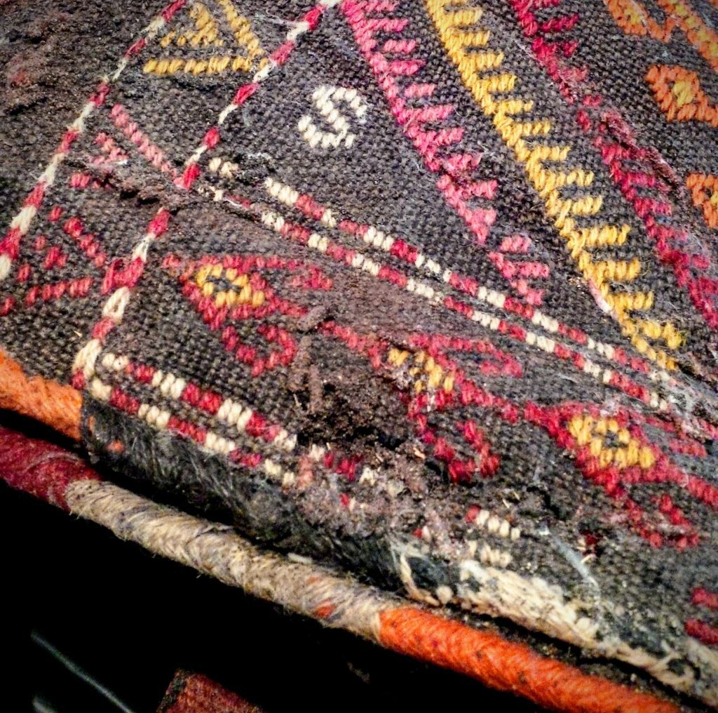 NESTING MICE CAN DAMAGE FABRICS - Colonial Pest Control