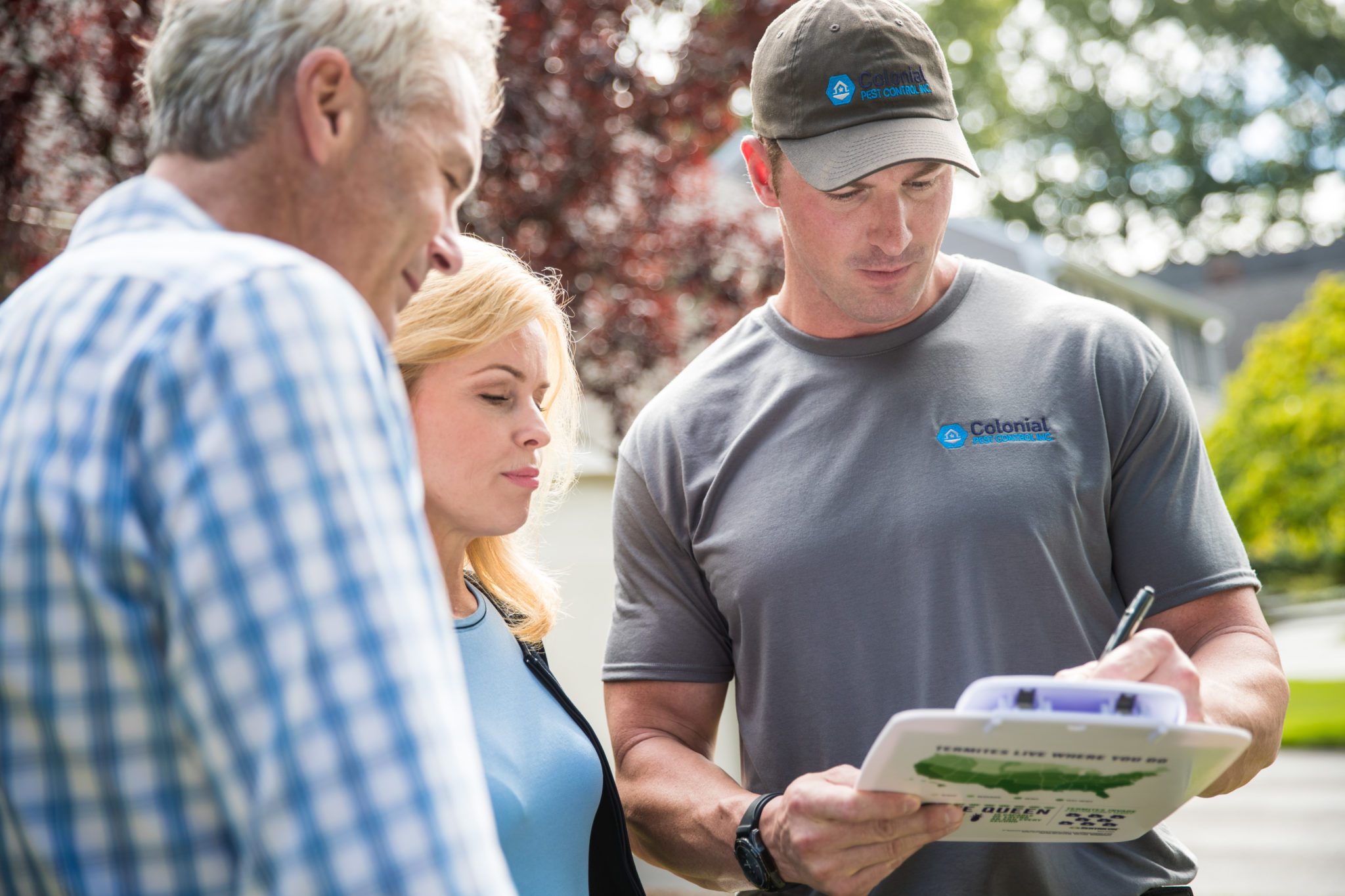 Mice & Rodent Pest Control in MA & NH | Colonial Pest Control Inc.