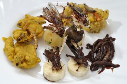 “How Do You Like Your Grubs Cooked?” - Colonial Pest Control