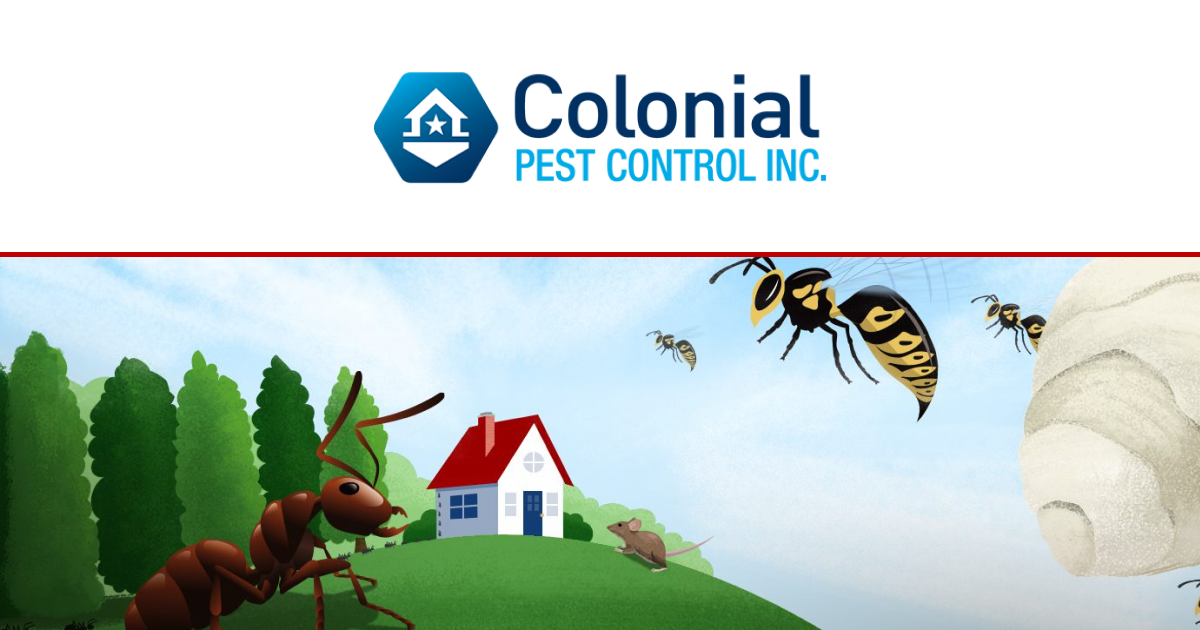 Rodent Control Massachusetts - Colonial Pest Control