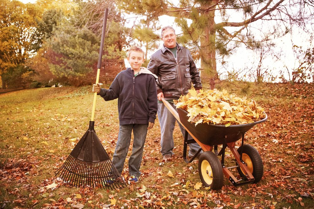 FALL YARD CLEANUP? – THINK PEST PREVENTION - Colonial Pest Control